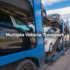 Multiple Vehicle Transport – Fisher Shipping